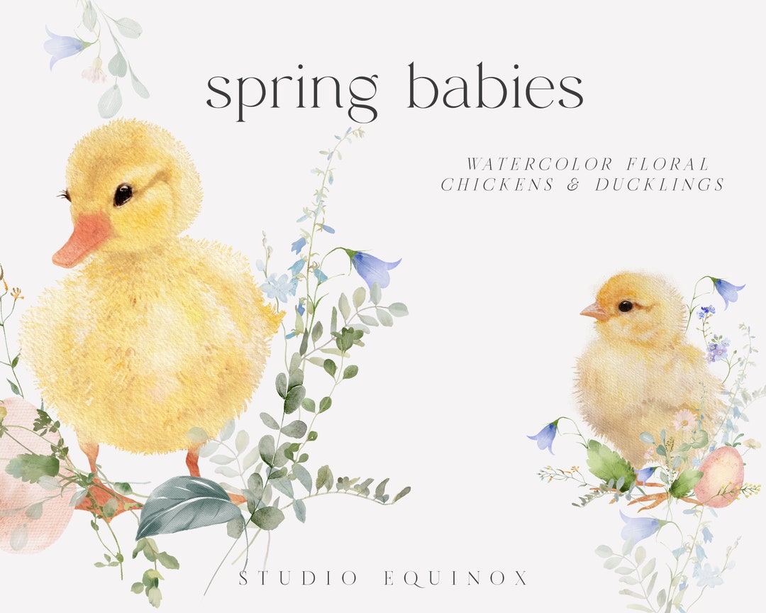 Watercolor Spring Chickens and Ducklings Clipart, Easter Floral ...