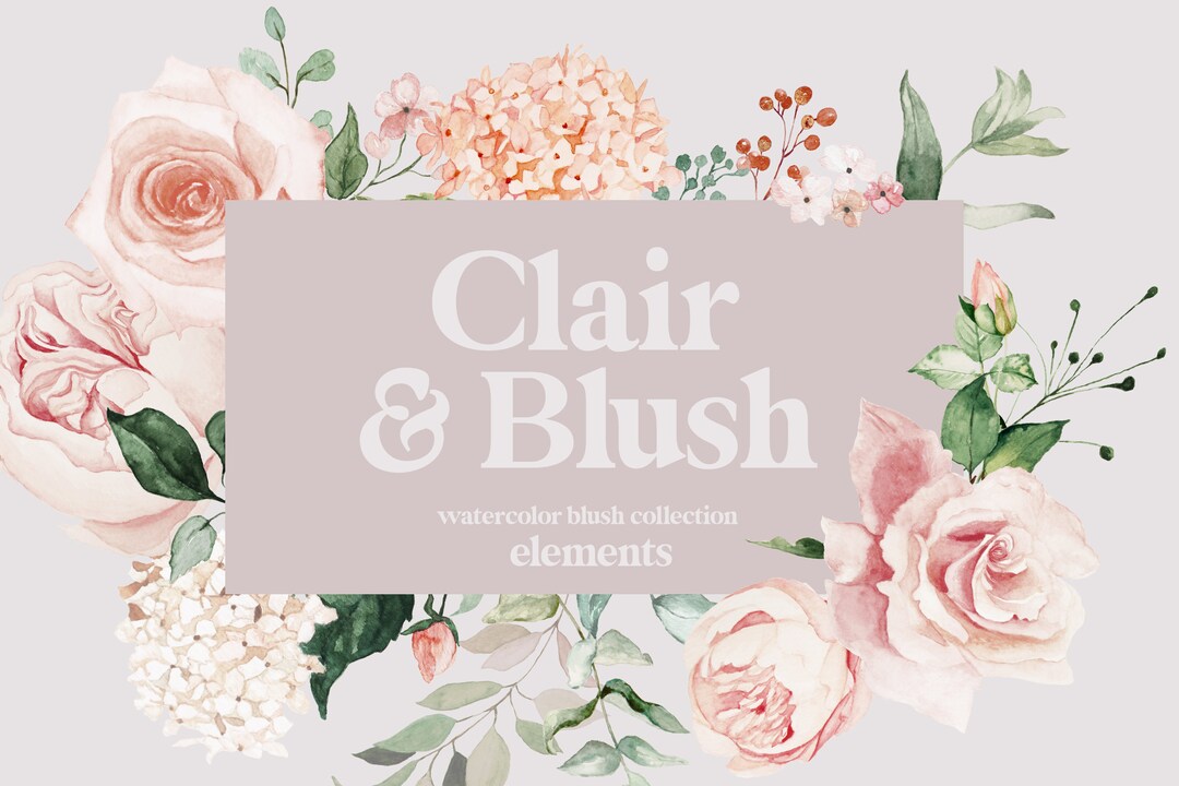 Clair and Blush, Watercolor Graphic Elements, Blush Rose, Blush Peony ...