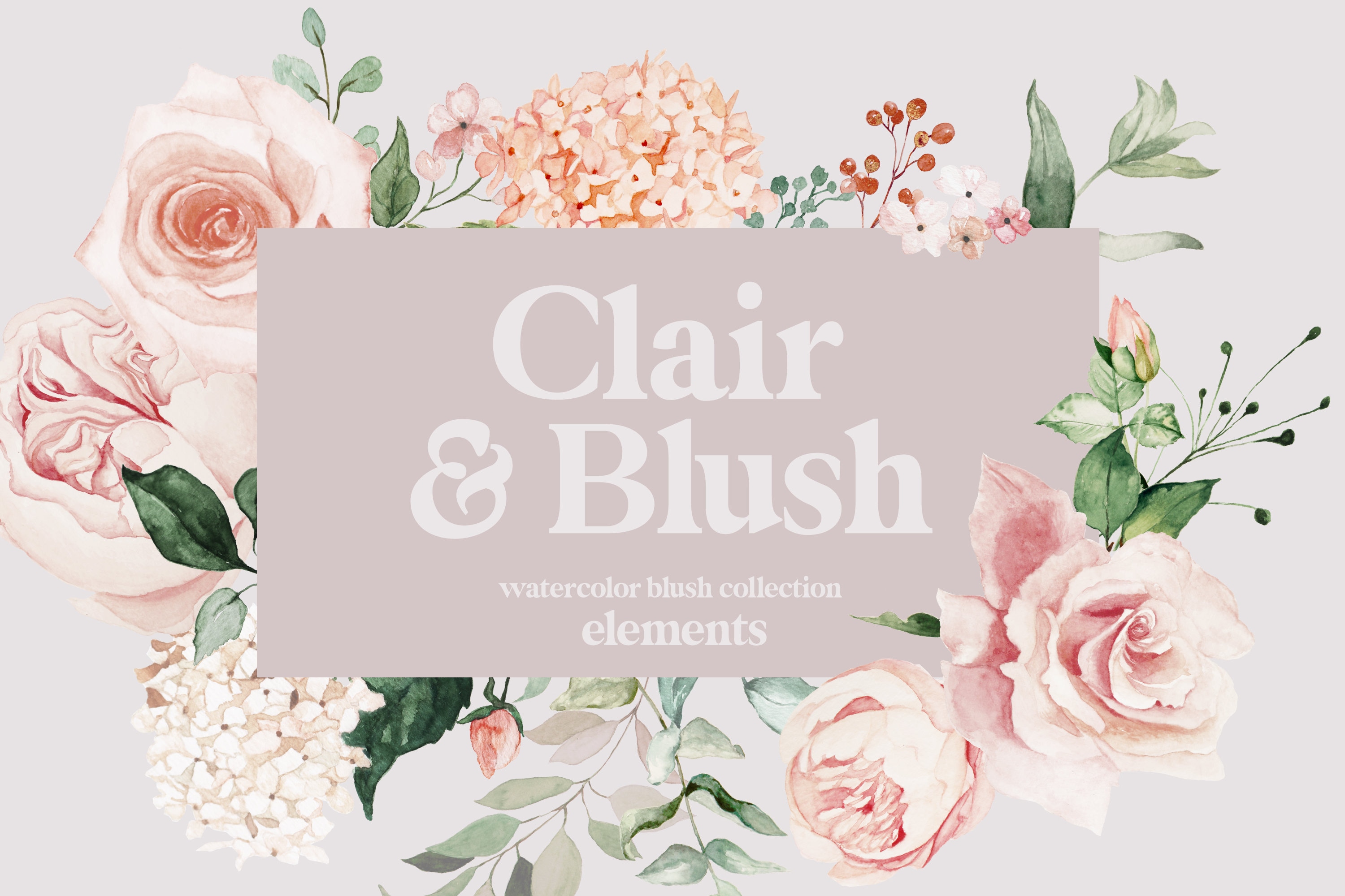 Clair and Blush Watercolor Graphic Elements Blush Rose - Etsy