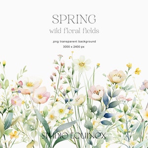 Watercolor Floral Borders and Bouquets, Floral Borders Clipart, Wild ...