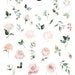 Clair and Blush, Watercolor Graphic Elements, Blush Rose, Blush Peony ...