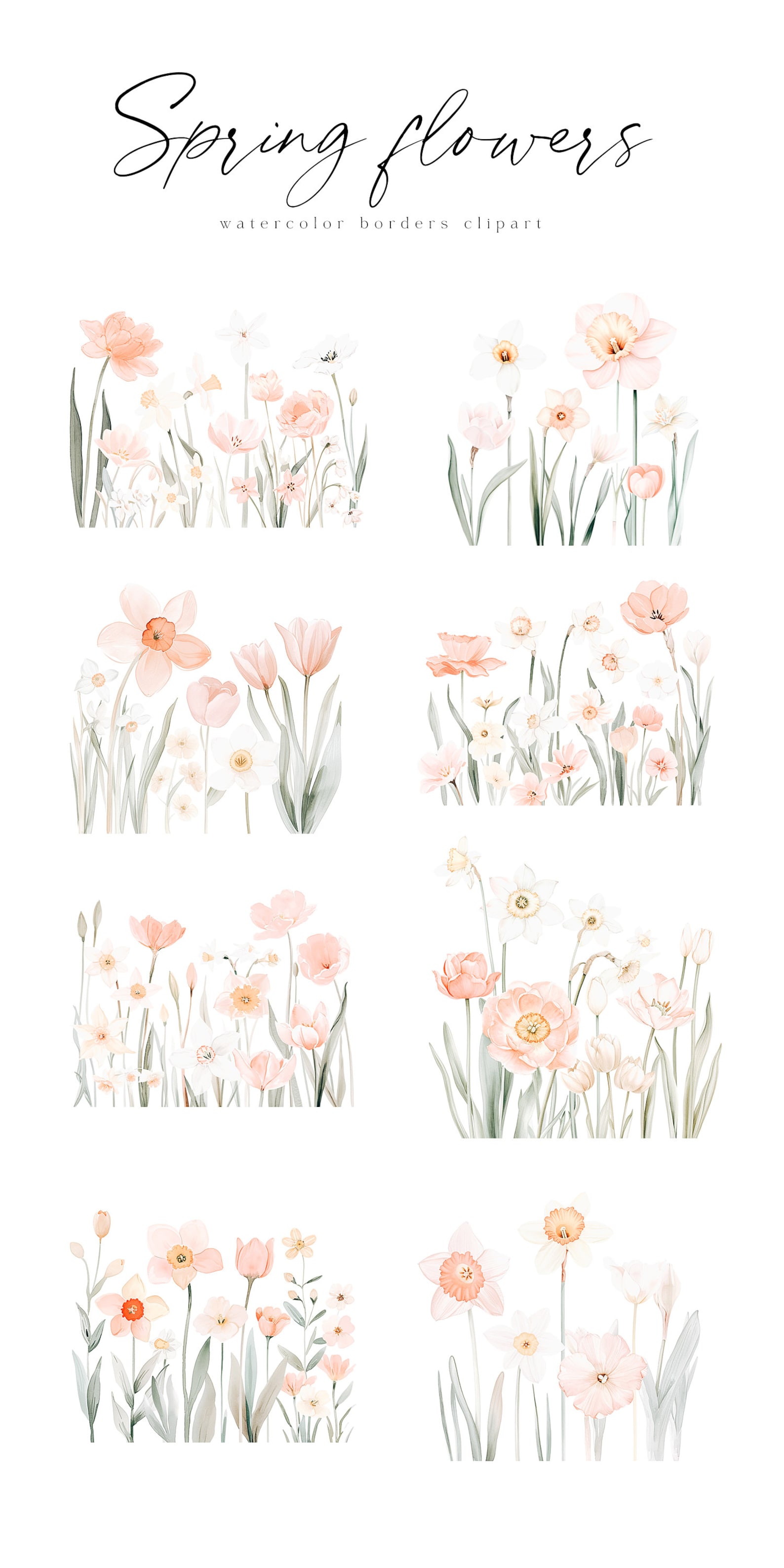 Watercolor Spring Flower Borders Clipart, Tulips, Daffodils (digital ...