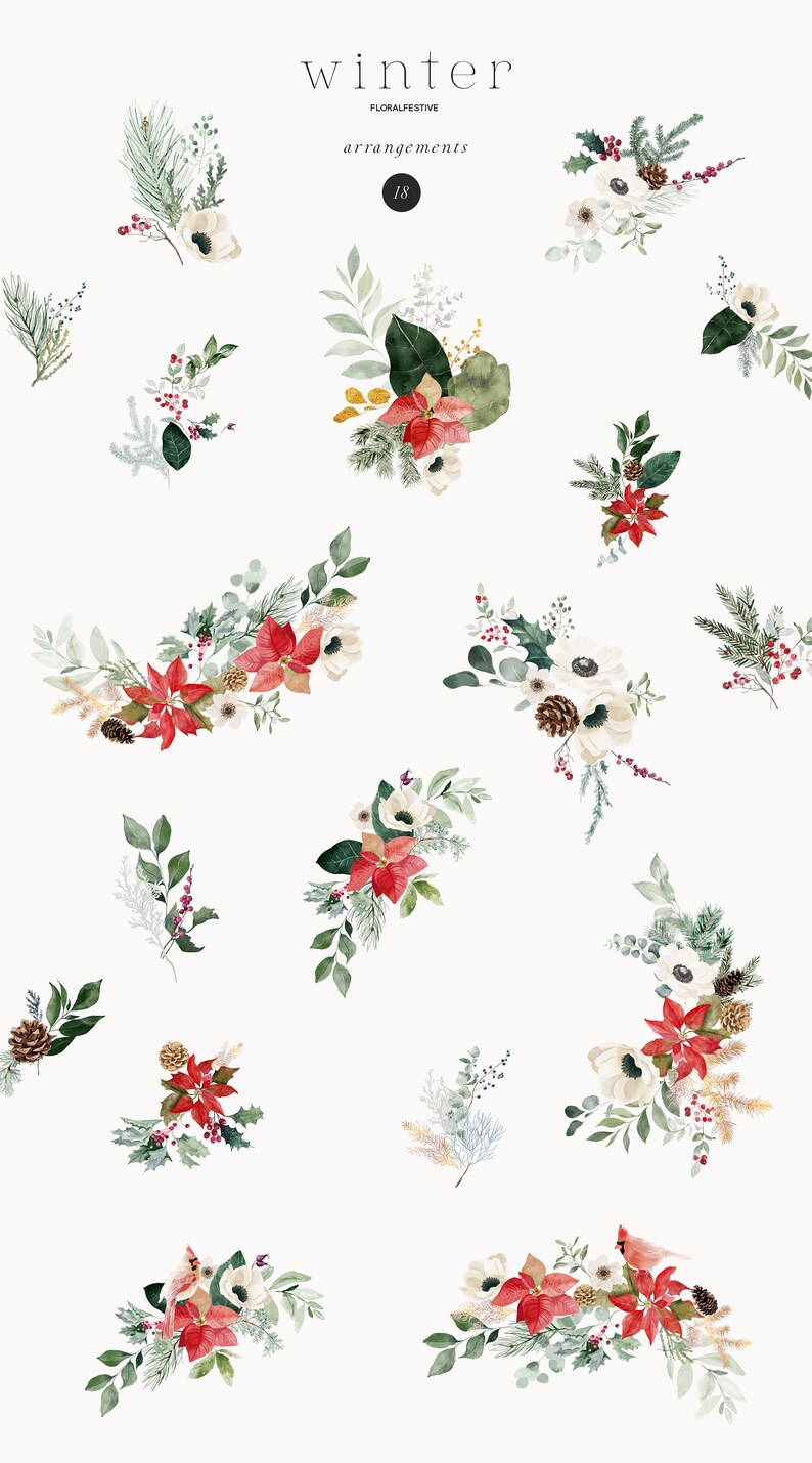 Winter Watercolor Clipart Christmas Flowers Pine Clipart - Etsy