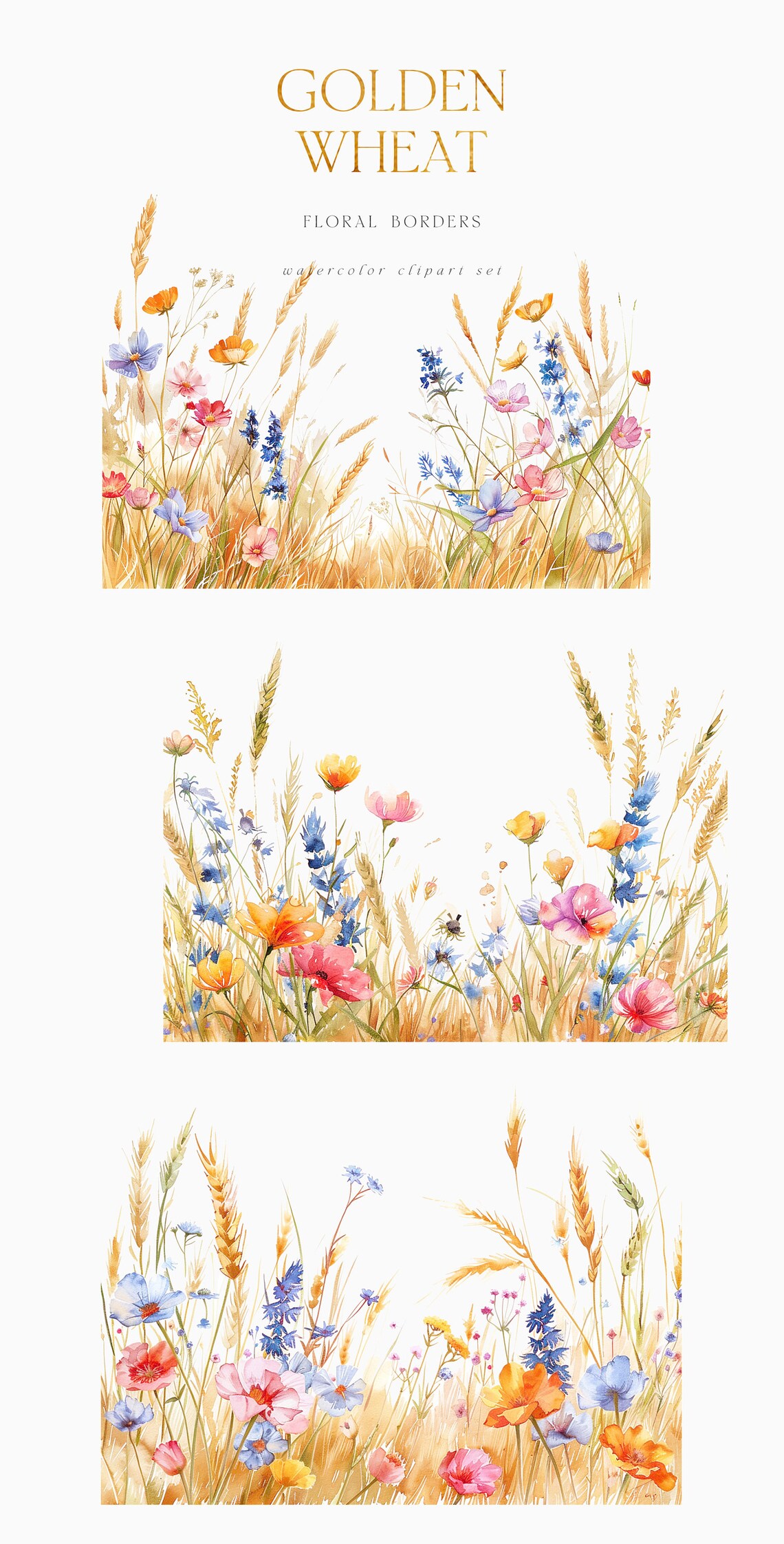 Watercolor Wheat Field Floral Borders Clipart (PNG) - Etsy