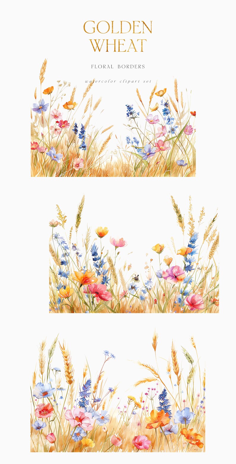 Watercolor Wheat Field Floral Borders Clipart (PNG) - Etsy