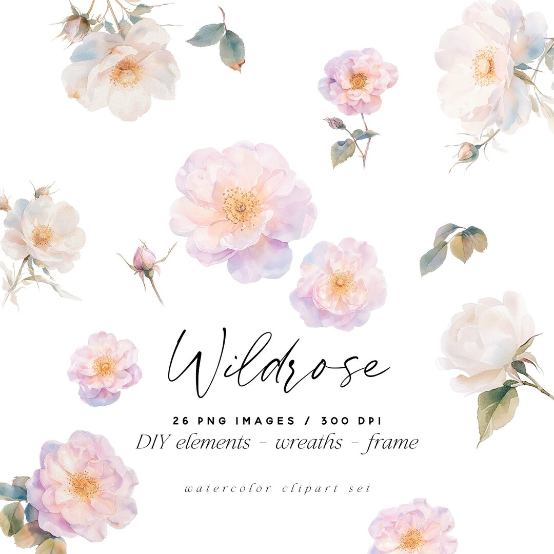 Watercolor Wild Rose Clipart, Floral Wreaths, DIY Elements (digital ...