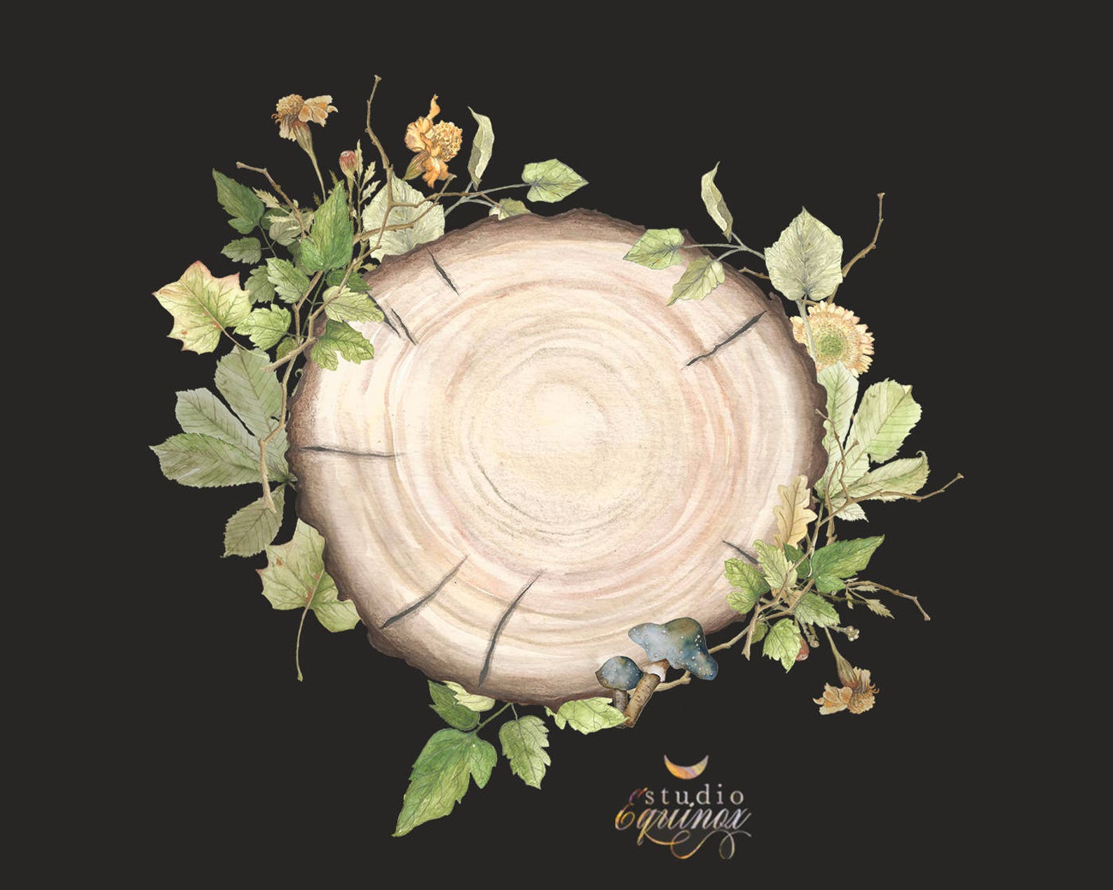 Watercolor Rustic Wood Slice Clipart, Floral Design (PNG) - Etsy