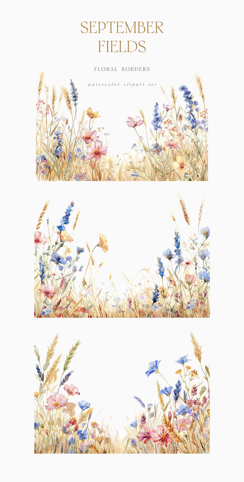 Watercolor Wheat Field Clipart, Autumn Floral Borders (PNG) - Etsy