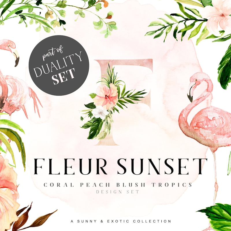 Flamingo Clipart - Etsy