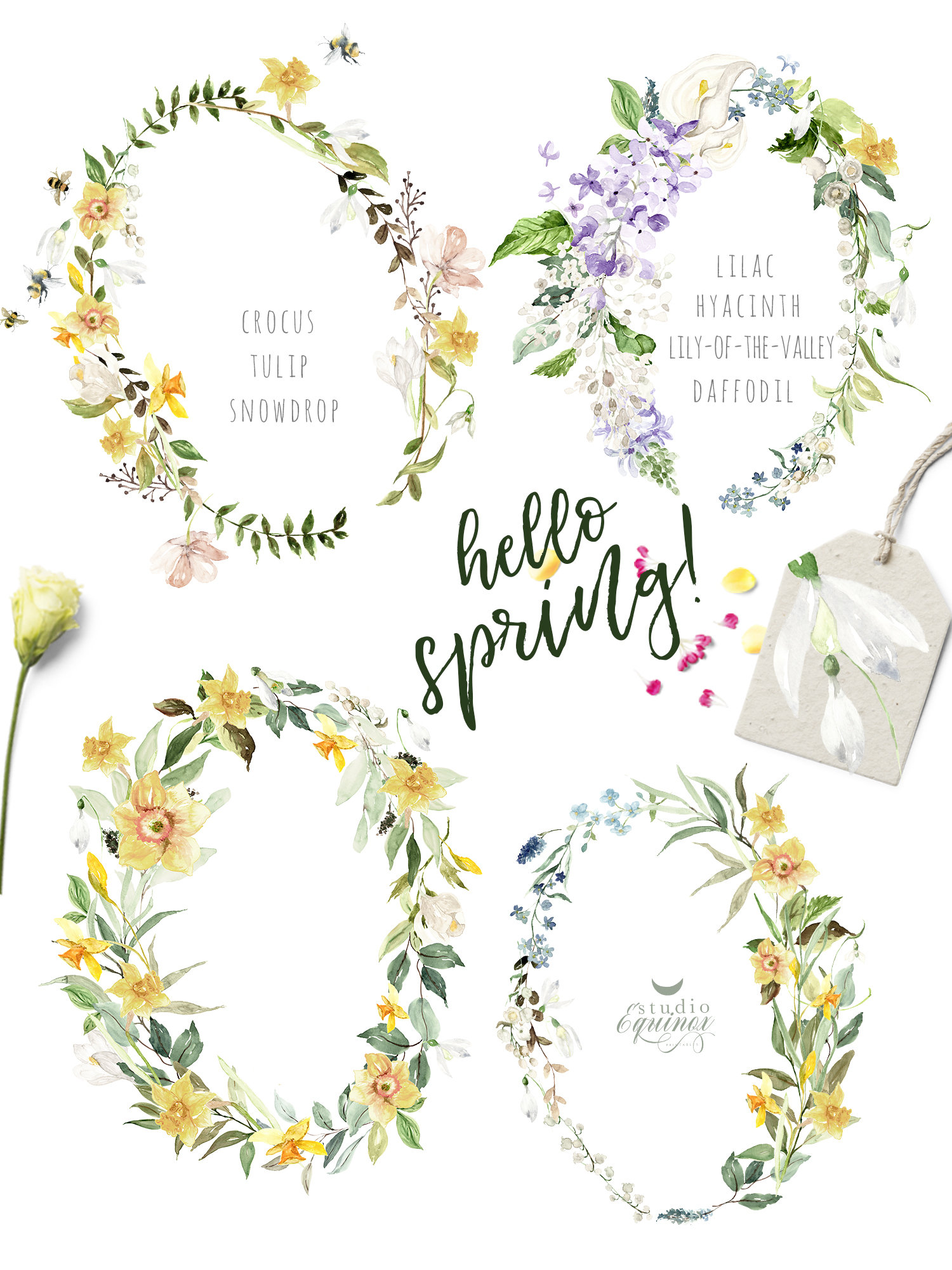 Hello Spring, Watercolor Spring Wreath Clipart, Watercolor Daffodil ...