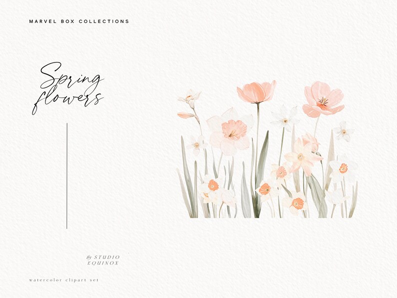Watercolor Spring Flower Borders Clipart, Tulips, Daffodils (digital ...
