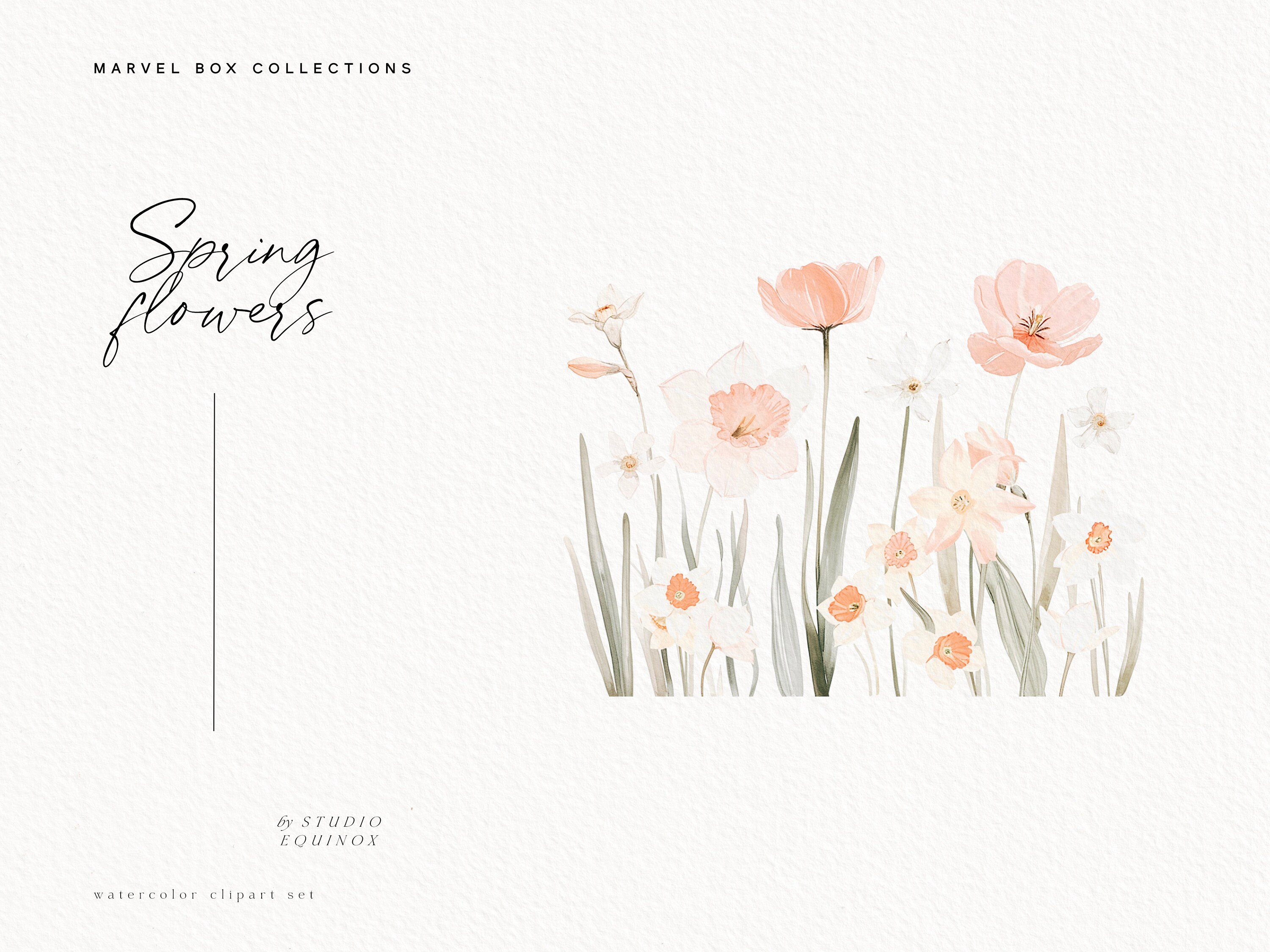 Watercolor Spring Flower Borders Clipart, Tulips, Daffodils (digital ...
