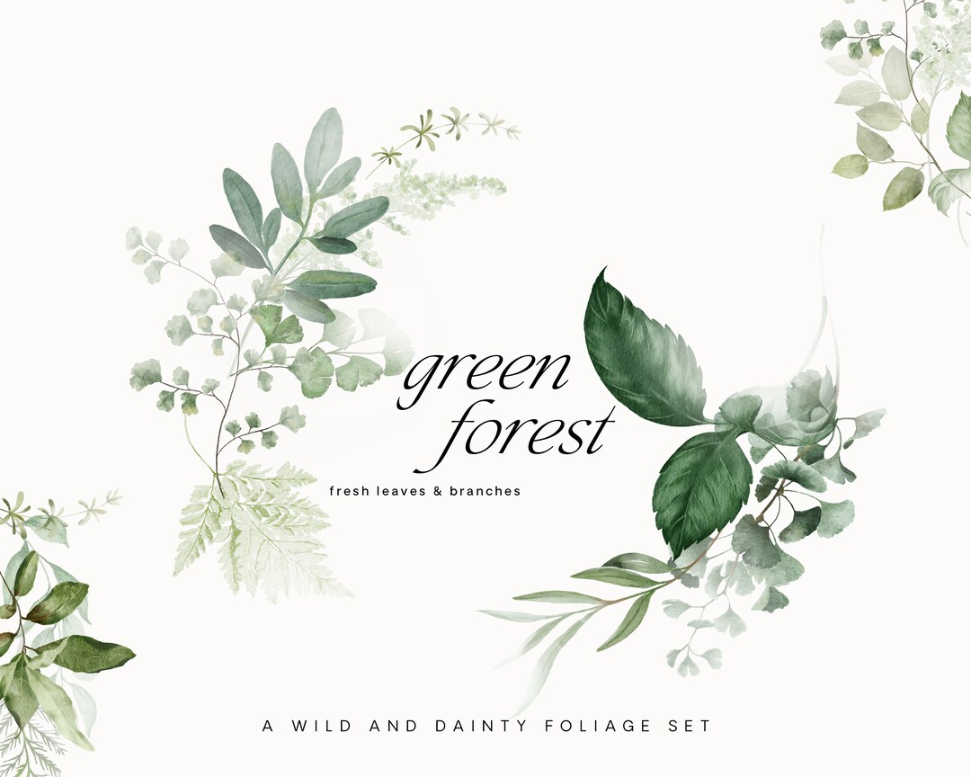 Greenery Foliage Clipart - Greenery Clipart - Eucalyptus Clipart ...