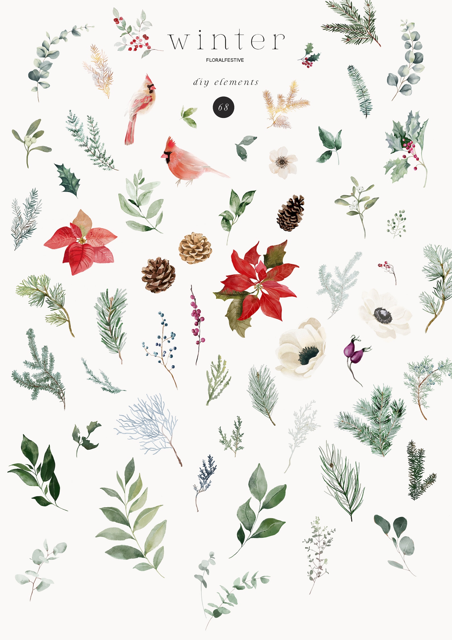 Winter Watercolor Clipart Christmas Flowers Pine Clipart - Etsy