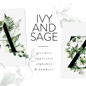 Ivy and Sage Greenery Alphabet, Watercolor Greenery Letters, Greenery ...