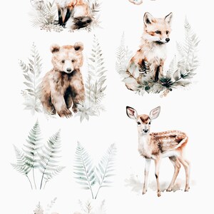 Watercolor Woodland Clipart, Forest Clipart, Woodland Animals, Fern ...