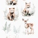Watercolor Woodland Clipart, Forest Animals, Flowers, Landscape (PNG ...