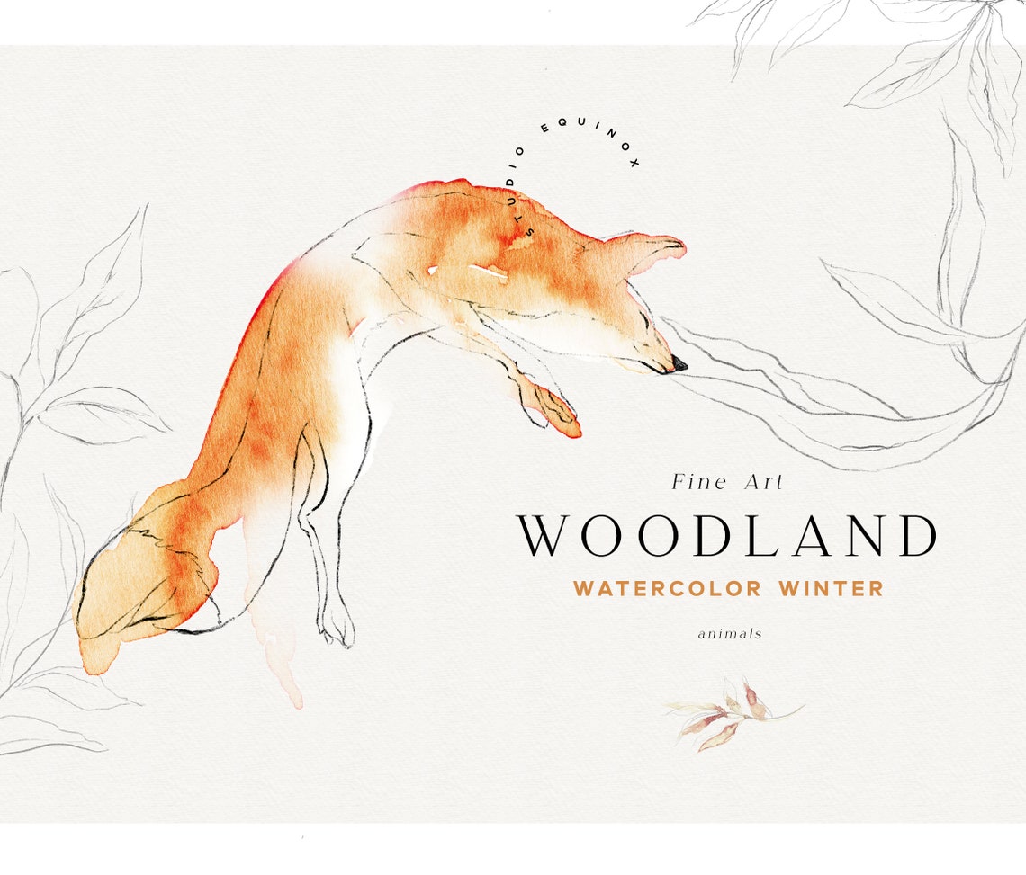 Woodland Fine Art Winter Animals Clipart Forest Animals - Etsy