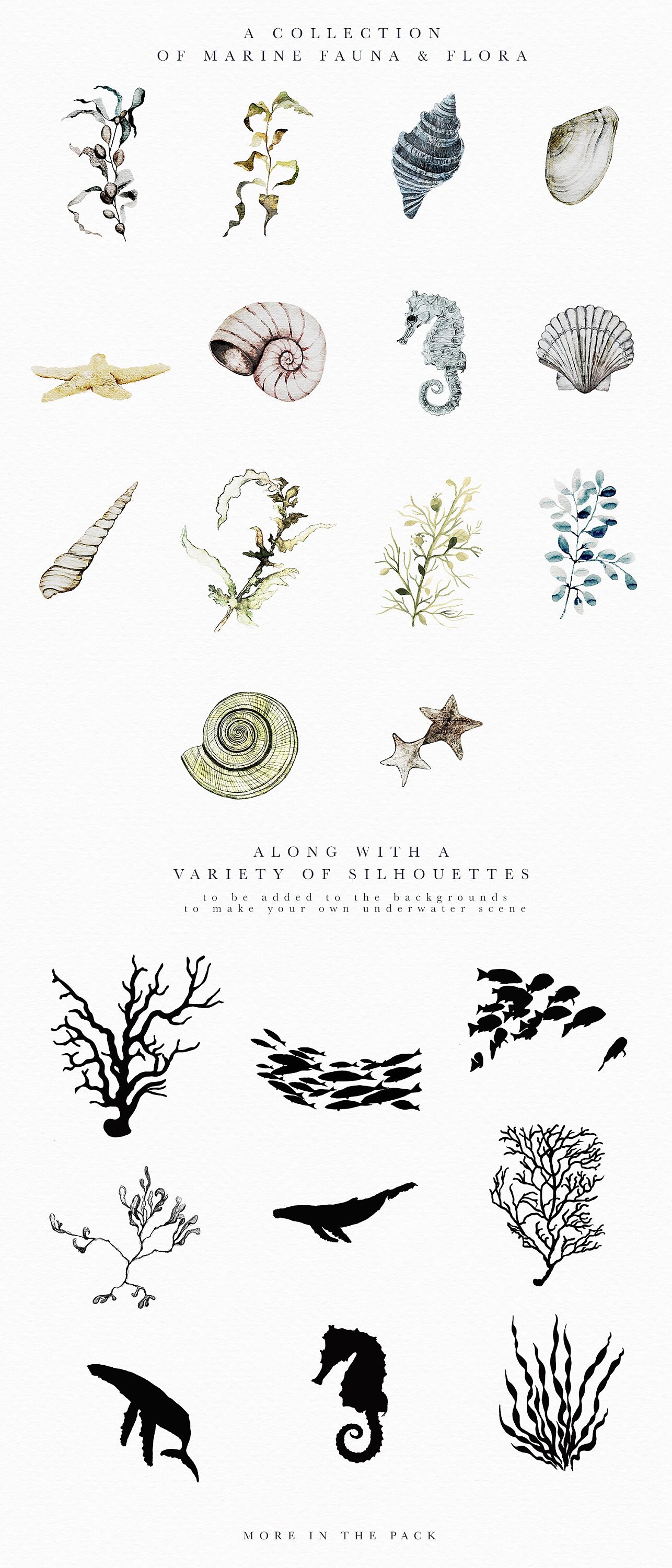 Watercolor Nautical Design Set Marine Graphic Collection Sea | Etsy