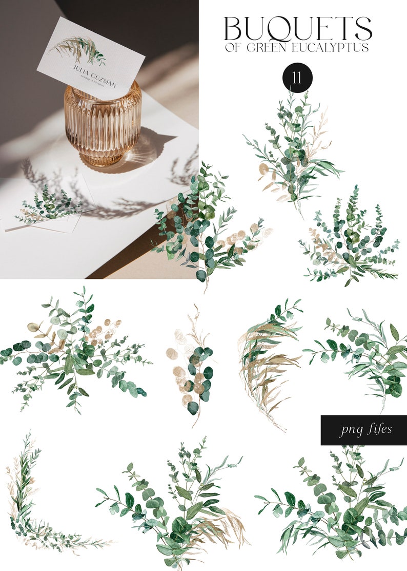 Watercolor Eucalyptus Greenery Collection Eucalyptus | Etsy