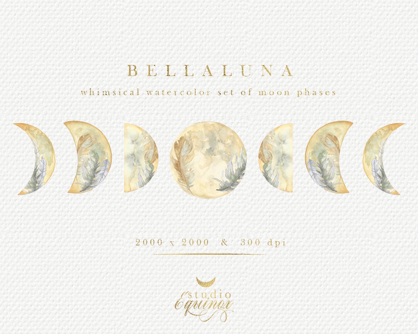 Moon Phases Clipart, Watercolor Moon Clipart, Full Moon Clipart, New ...