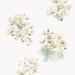 Watercolor White Flowers Clipart, Floral Bouquet, Frame, Border (PNG ...