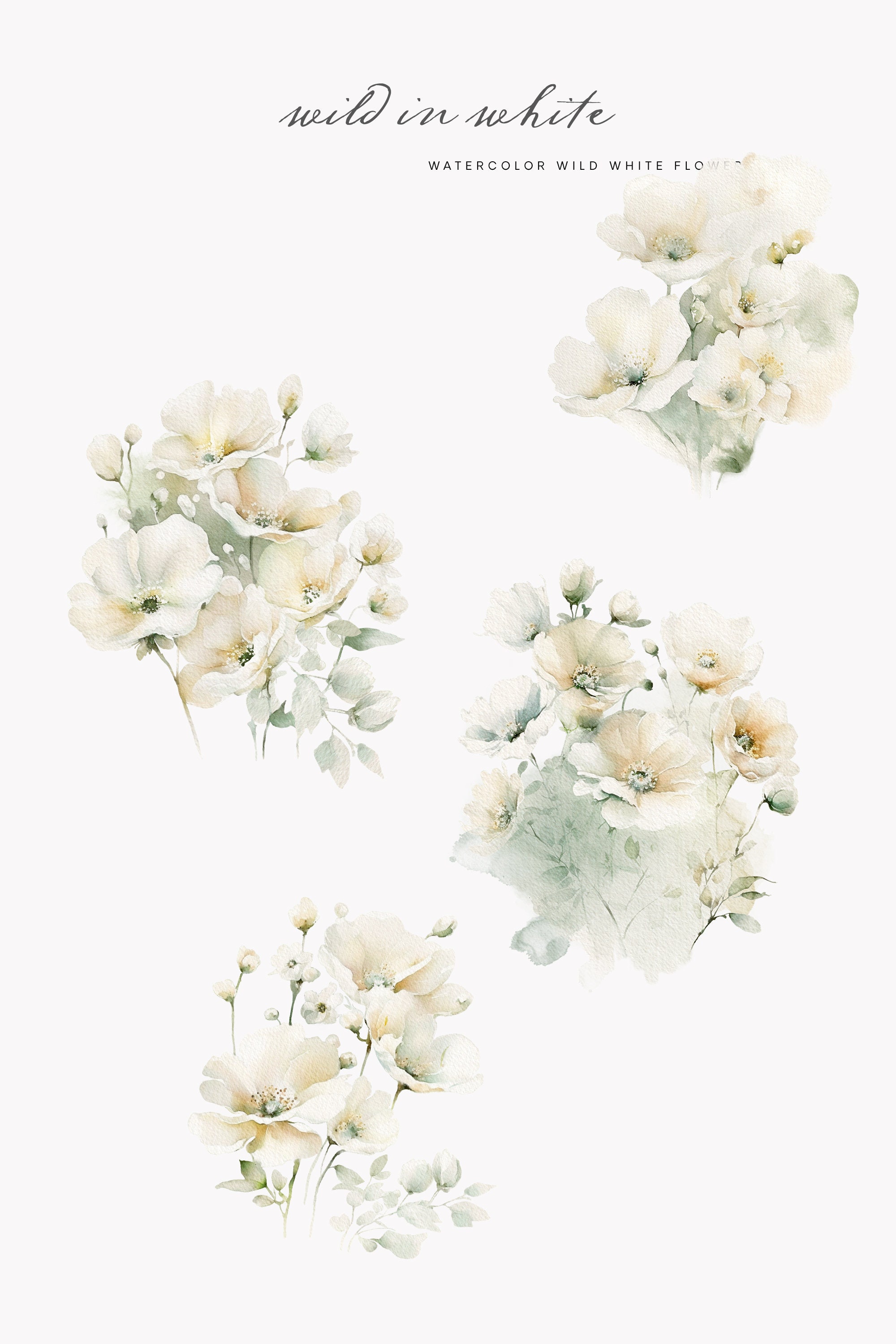 Watercolor White Flowers Clipart, Floral Bouquet, Frame, Border (PNG ...