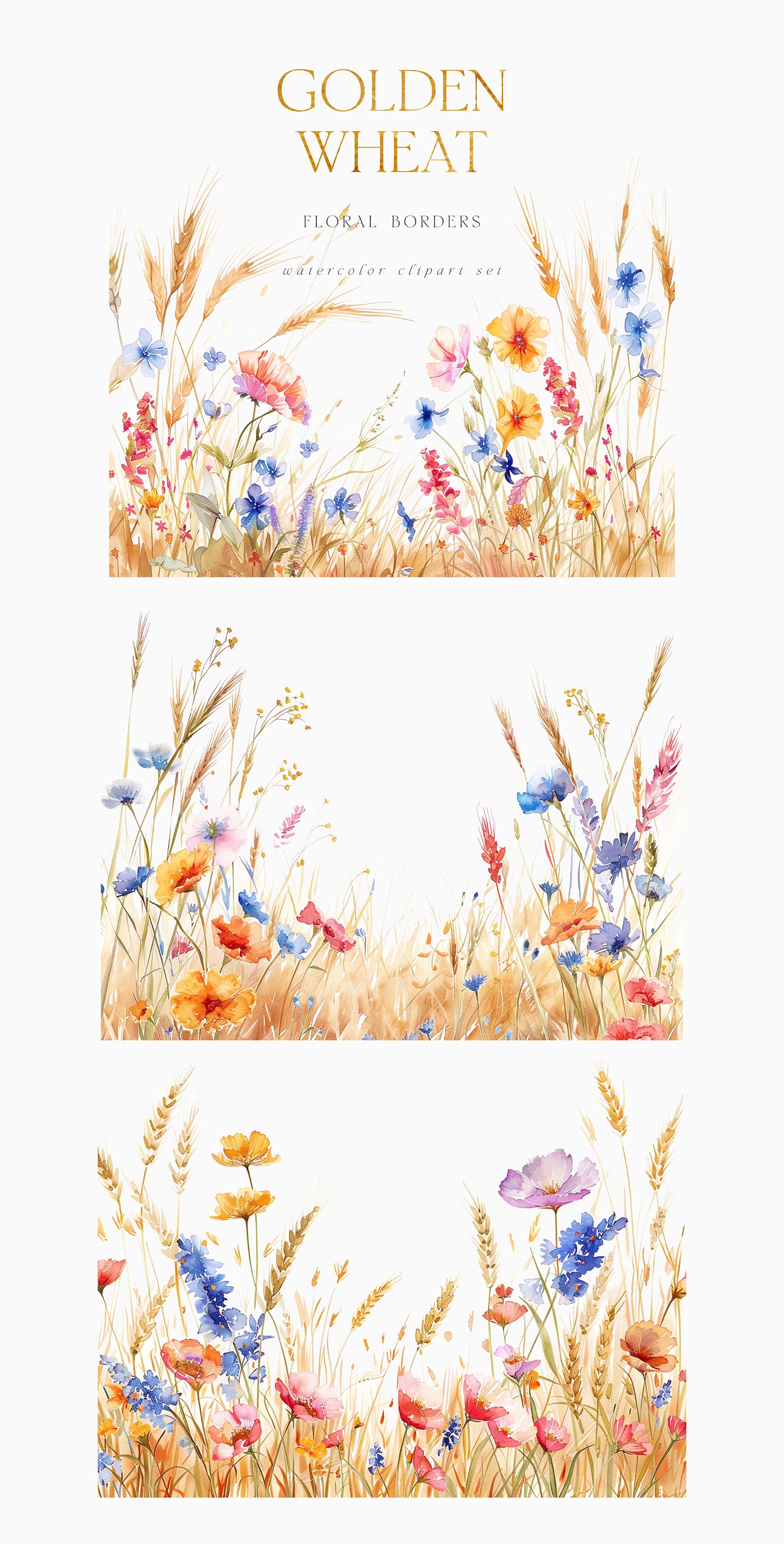Watercolor Wheat Field Floral Borders Clipart (PNG) - Etsy