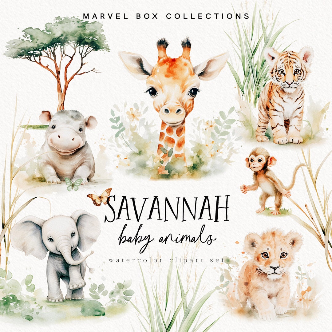 Safari Baby Animals Watercolor Clipart, Nursery Decor (digital Download ...