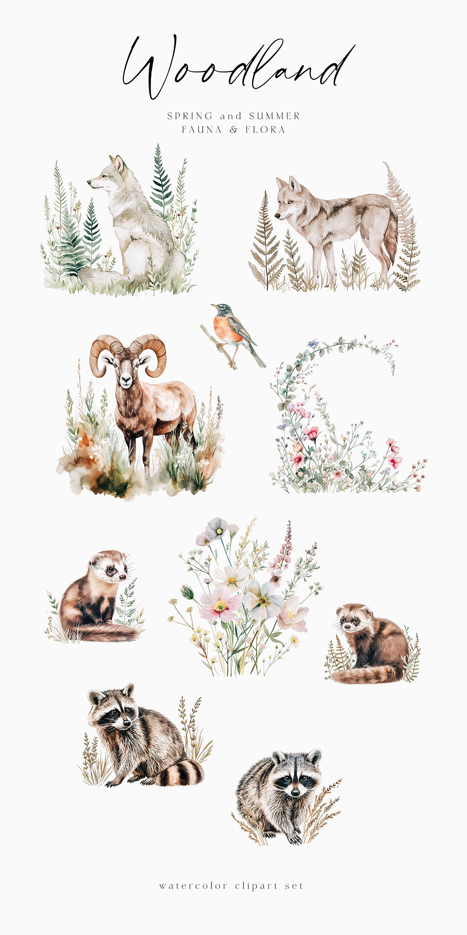 Watercolor Woodland Clipart Set, Forest Animals, Wildflowers (PNG Files ...