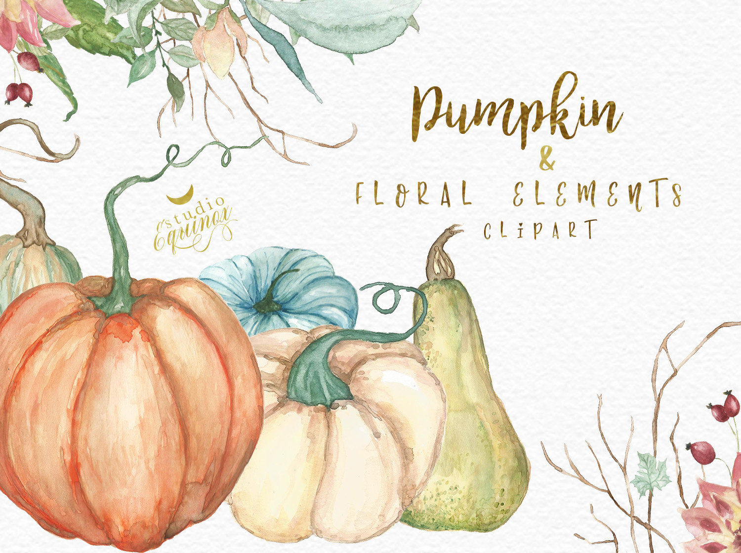 Watercolor Pumpkin Clipart Autumn Floral Elements Floral - Etsy