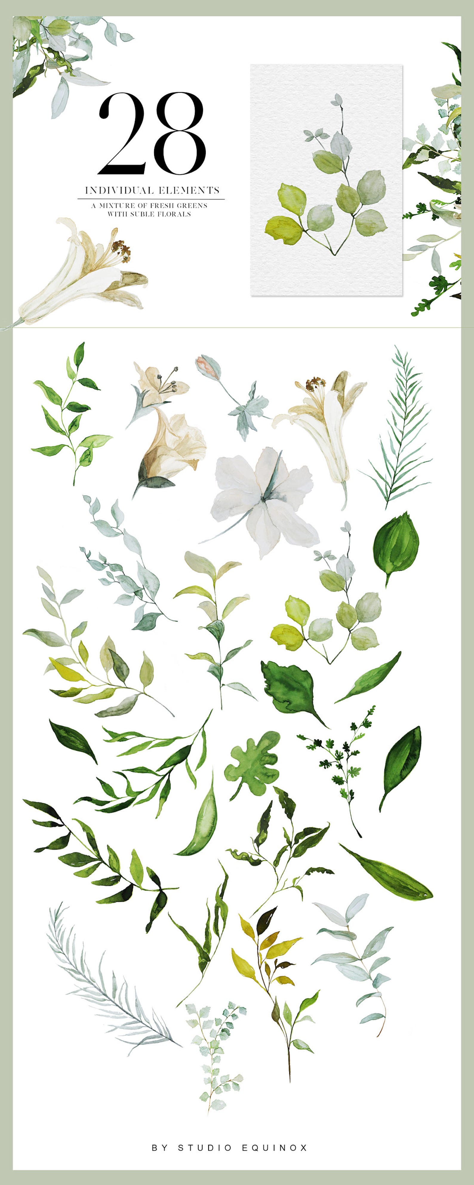 Watercolor Greenery Graphic Set Greenery Clipart Greenery | Etsy