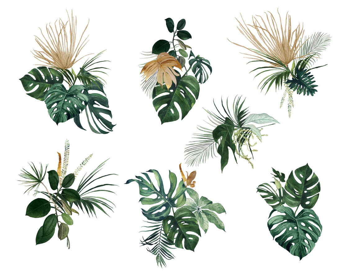 Watercolor Tropical Clipart, Greenery Leaves, Bouquets, Frames (PNG) - Etsy