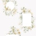Watercolor White Flowers Clipart, Floral Bouquet, Frame, Border (PNG ...