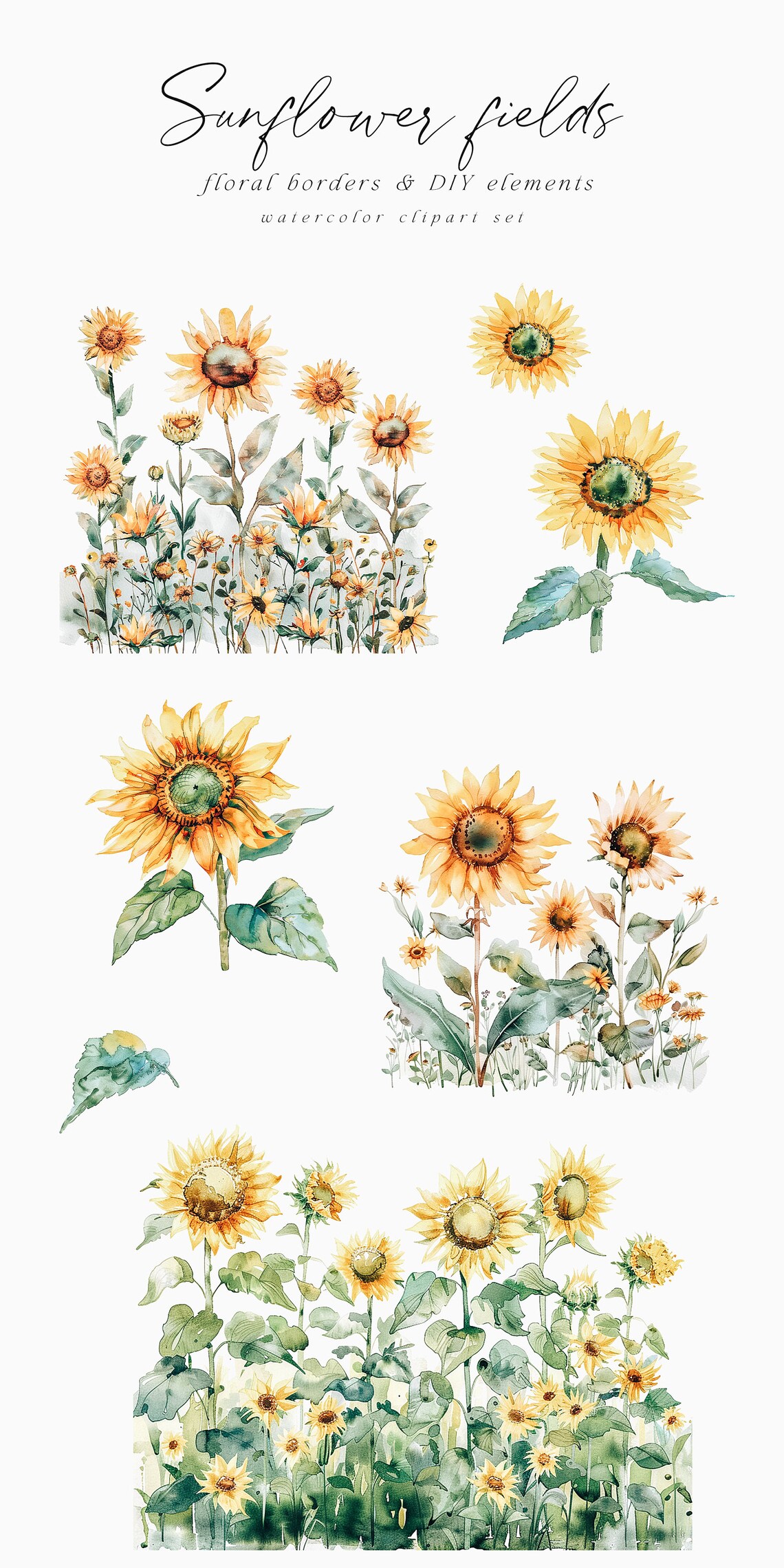 Watercolor Sunflower Clipart, Floral DIY Elements, Borders (PNG) - Etsy