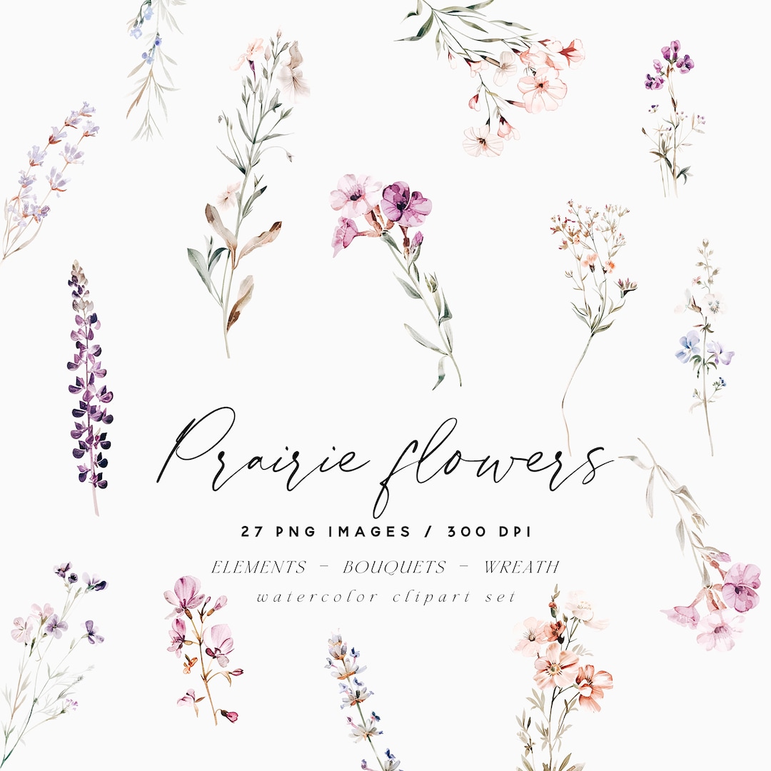 Watercolor Prairie Flowers Clipart, Floral Wreath, Bouquets (digital ...