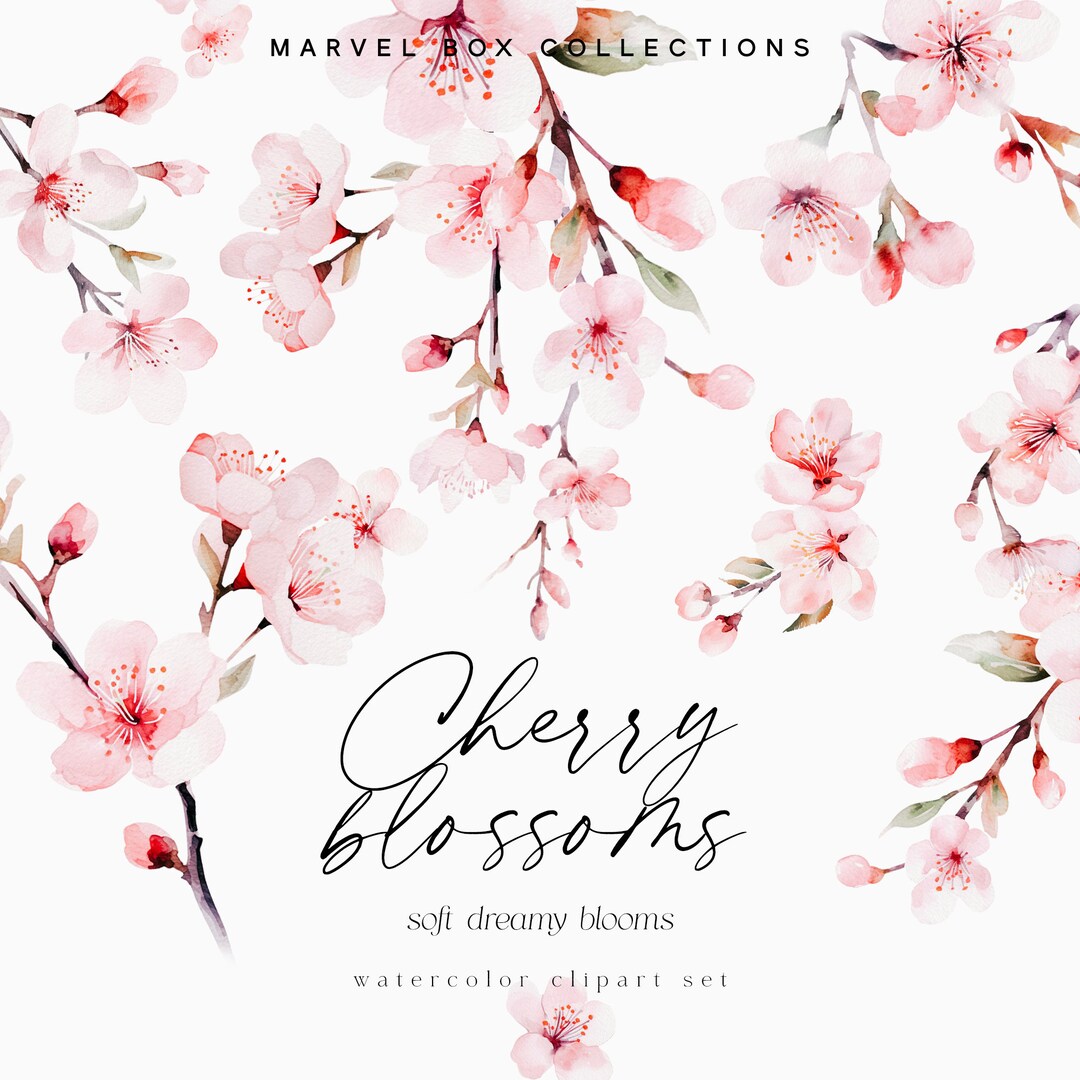 Watercolor Cherry Blossom Clipart, Sakura Clipart, Floral Clipart ...