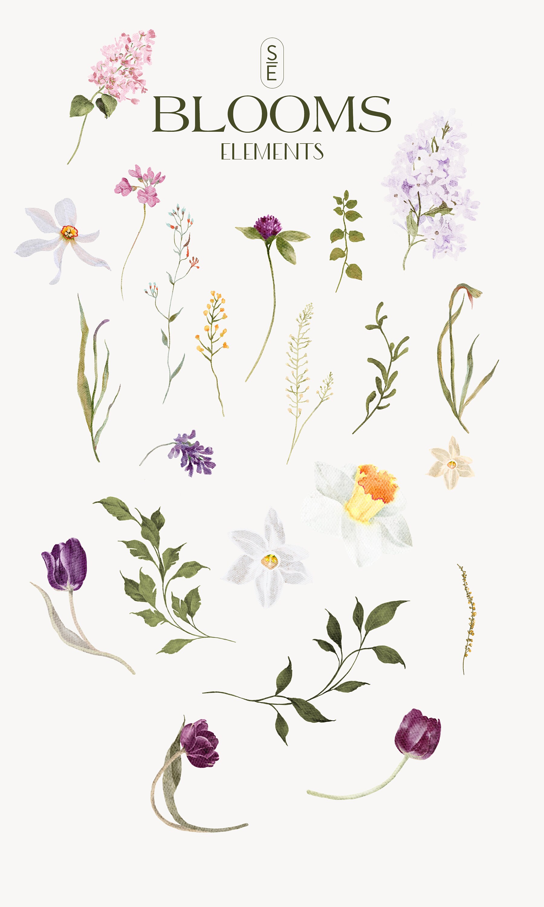 Blooms Watercolor Spring Floral Clipart Tulips Lilac - Etsy