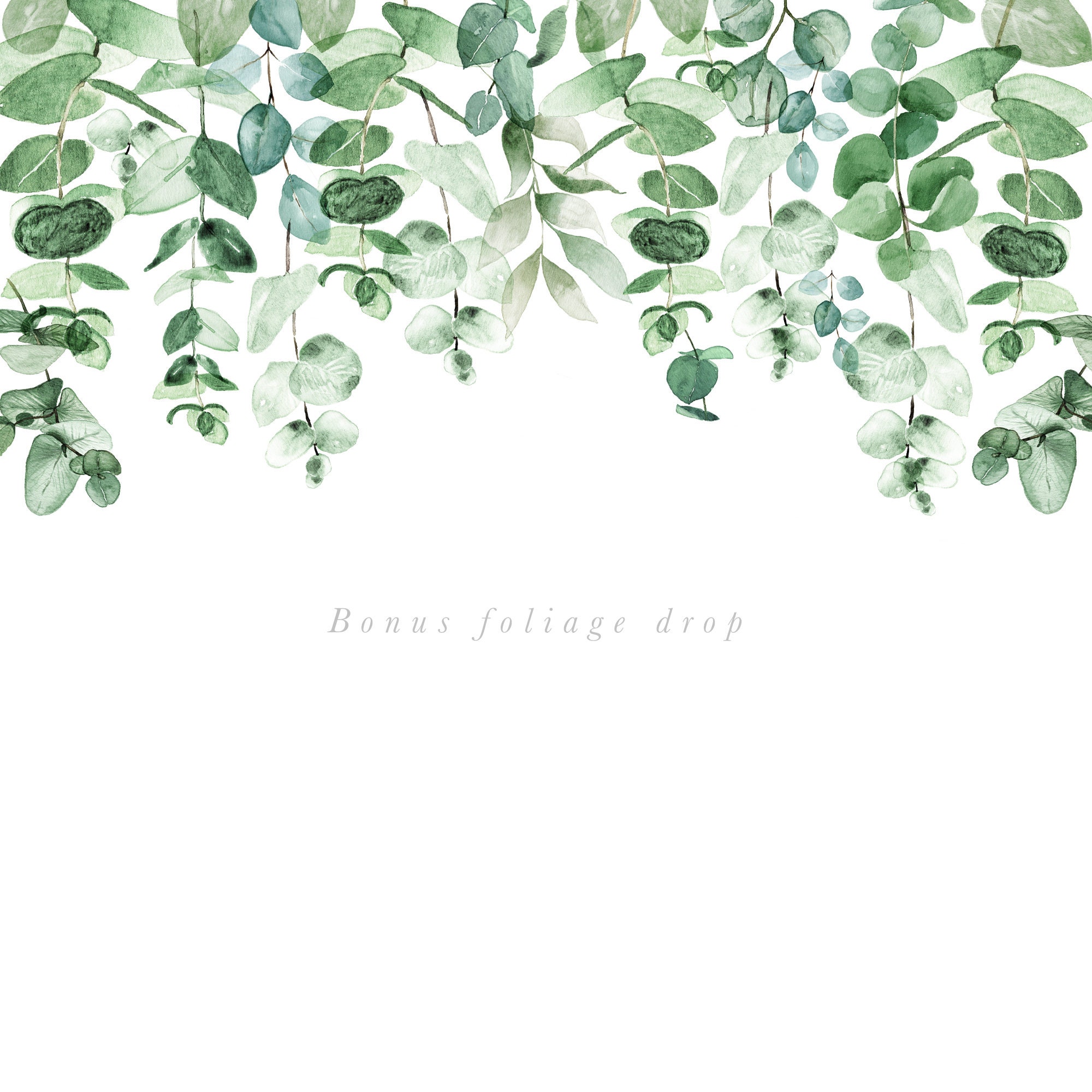 Watercolor Eucalyptus Clipart Baby Blue Eucalyptus Greenery | Etsy