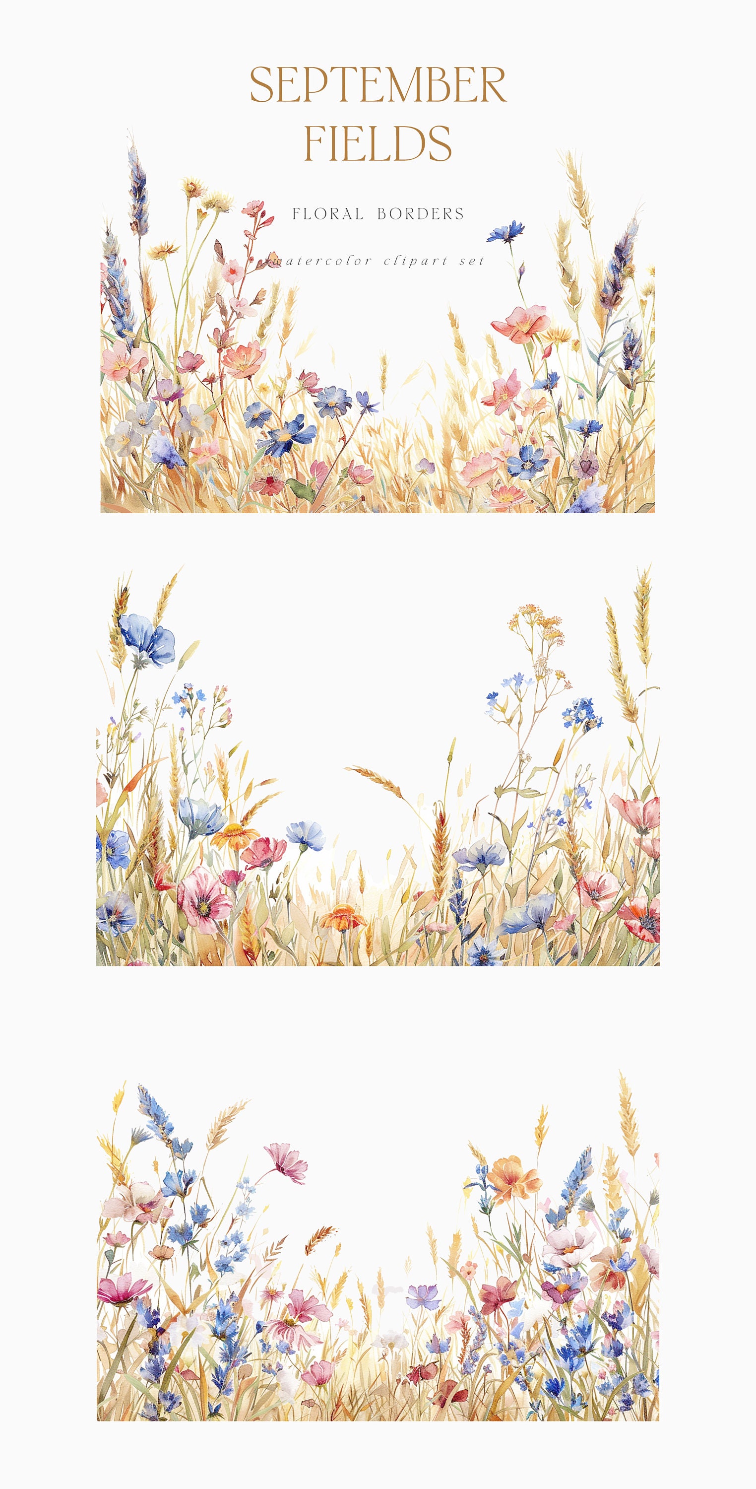 Watercolor Wheat Field Clipart, Autumn Floral Borders (PNG) - Etsy