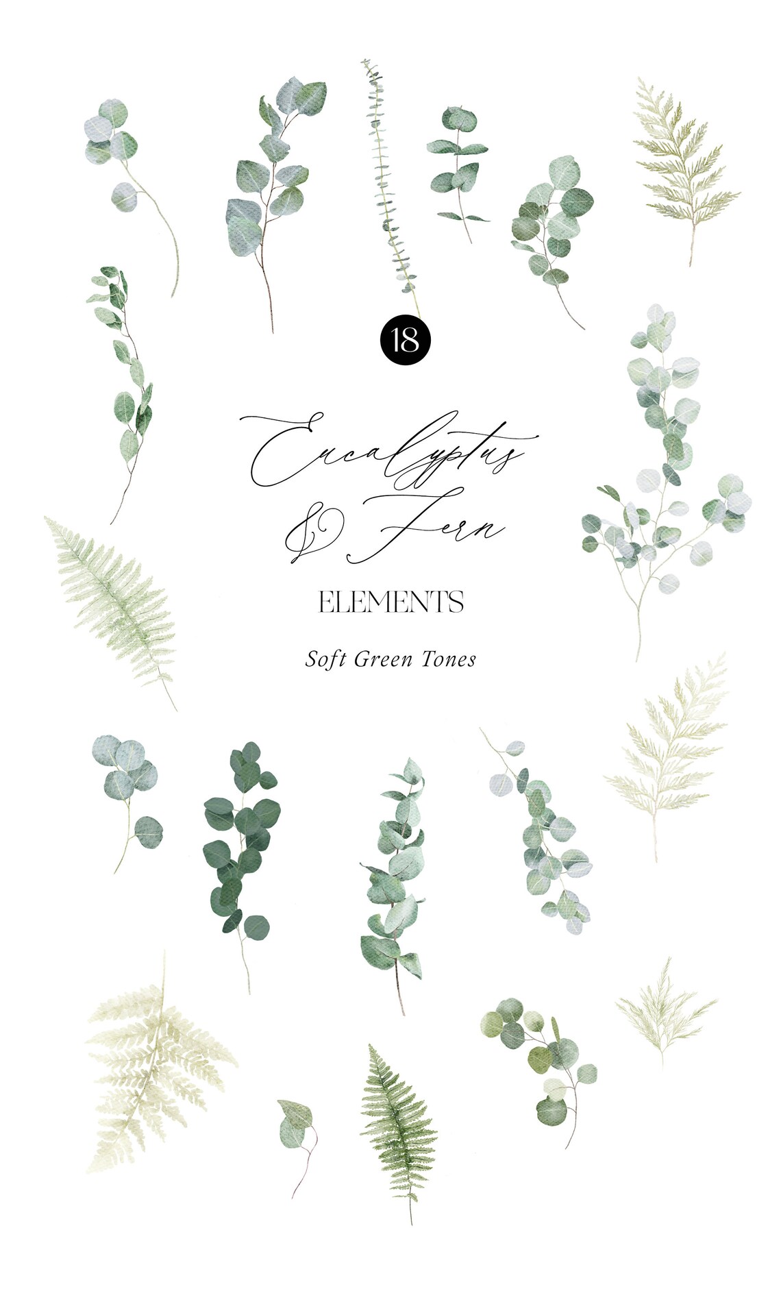 Eucalyptus and Fern Watercolor Clipart Greenery Clipart Soft - Etsy