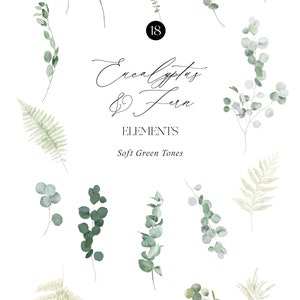 Eucalyptus and Fern Watercolor Clipart, Greenery Clipart, Soft Green ...