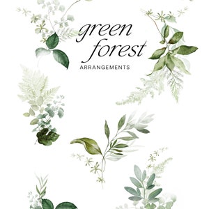 Greenery Foliage Clipart - Greenery Clipart - Eucalyptus Clipart ...