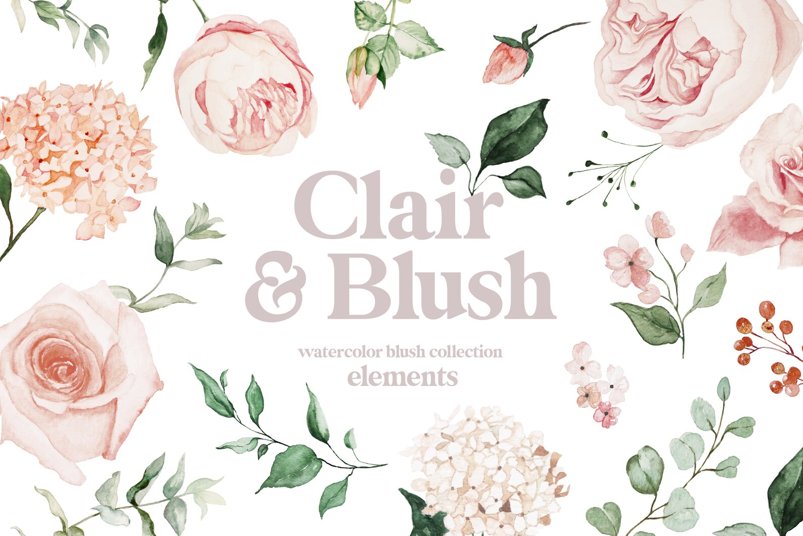 Clair and Blush Watercolor Graphic Elements Blush Rose | Etsy