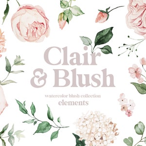 Clair and Blush, Watercolor Graphic Elements, Blush Rose, Blush Peony ...