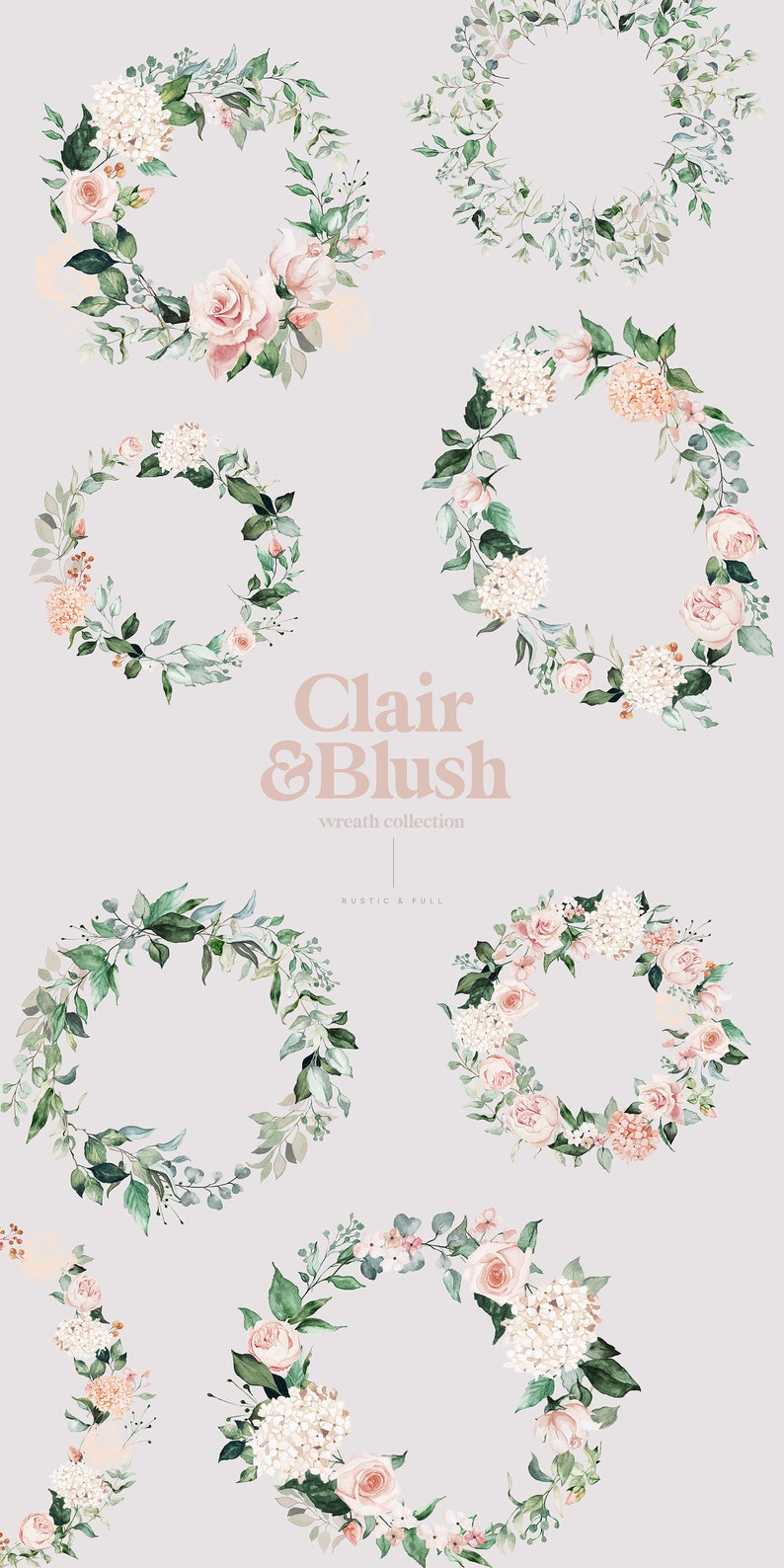 Clair & Blush Watercolor Blush Graphic Set Summer Floral - Etsy