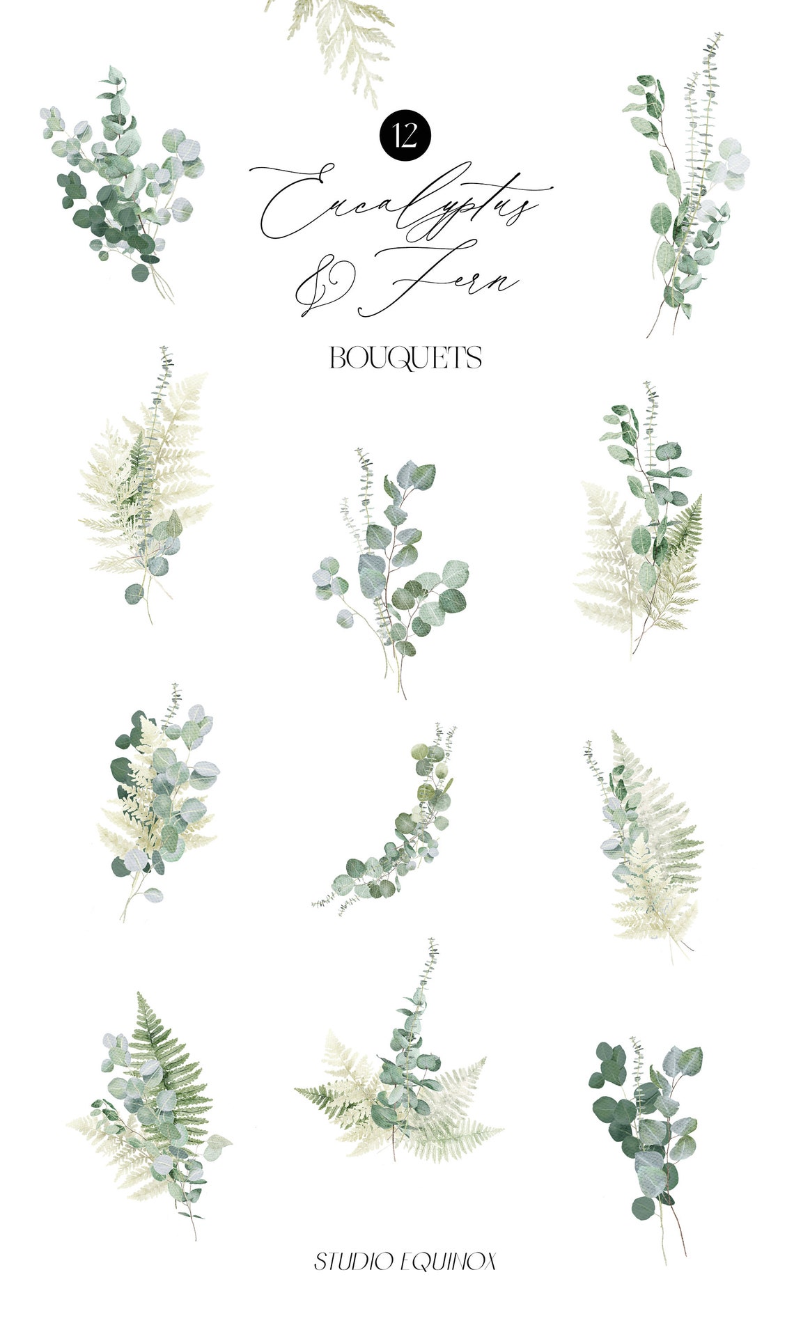 Eucalyptus and Fern Watercolor Clipart Greenery Clipart Soft - Etsy