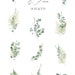 Eucalyptus and Fern Watercolor Clipart, Greenery Clipart, Soft Green ...