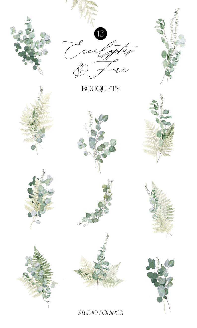 Eucalyptus and Fern Watercolor Clipart Greenery Clipart Soft - Etsy