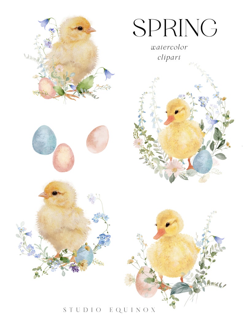 Watercolor Spring Chickens and Ducklings Clipart, Easter Floral ...